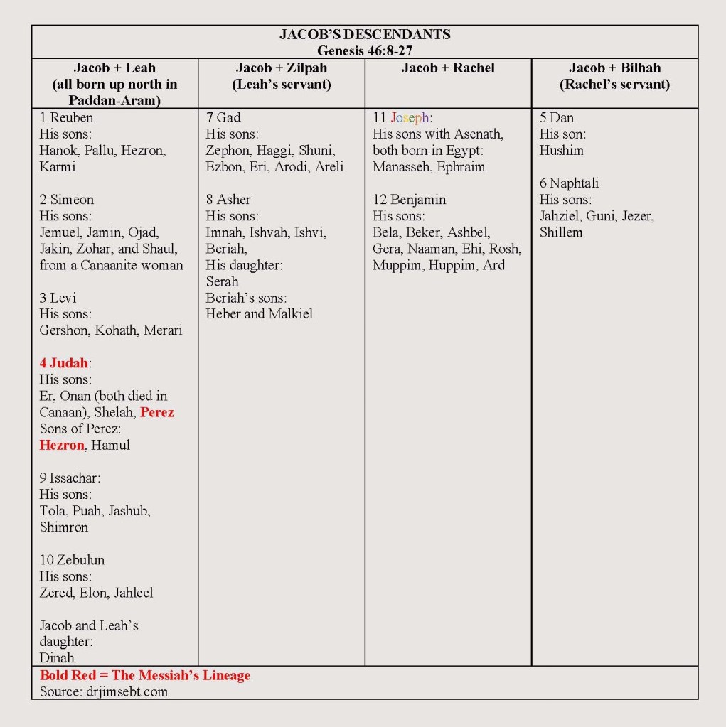 Families in Genesis + The Messiah’s Lineage | Dr. Jim's Essential Bible ...