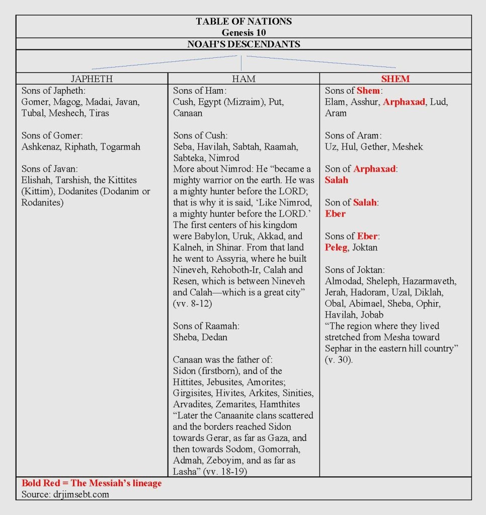 Families in Genesis + The Messiah’s Lineage | Dr. Jim's Essential Bible ...